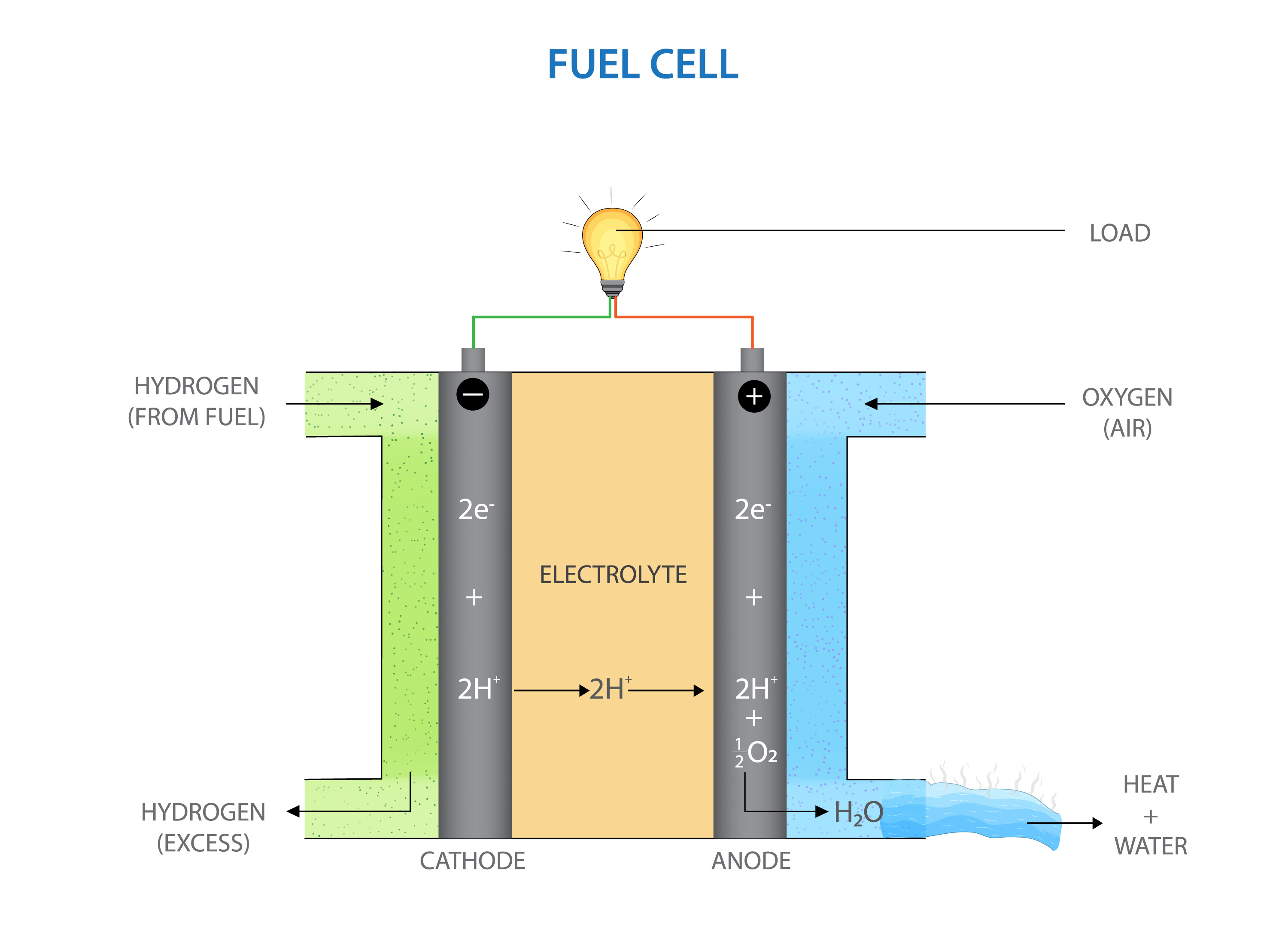 What are proton exchange membrane fuel cells and how do they work?
